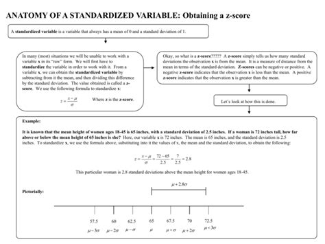 Anatomy Standardized Variable