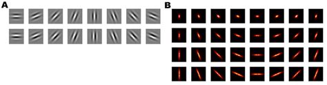 Two Stages Of Filtering For Image Analysis A Gabor Filters At Eight Download Scientific