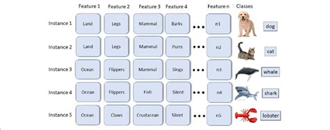 An Example Of A Classification Problem Showing Features Describing Five