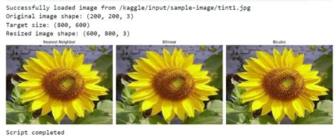 Image Processing Algorithms In Computer Vision Geeksforgeeks