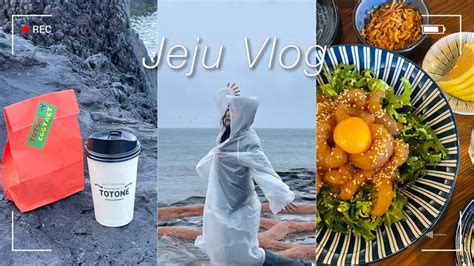 Vlog 혼자 떠난 제주도 여행 Ep1 애월 맛집 도미토리 효리네 민박 ‘소길별하 편집샵 구경 렌트카 사고 Ssul 딱새우회 흑돼지 먹방 🦐