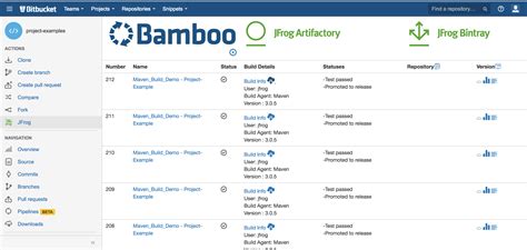 Github Jfrogbitbucket Bintray Plugin