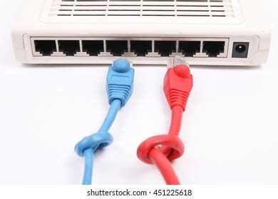Network Switch Utp Ethernet Cables Stock Photo Shutterstock