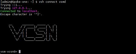 cos qos architecture and troubleshooting qos on flexvnf versa support