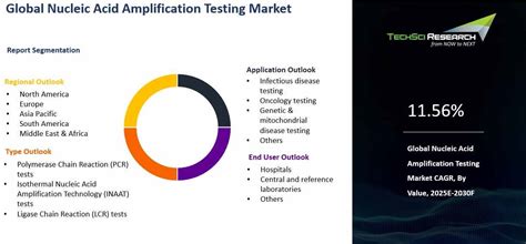 Nucleic Acid Amplification Testing Market By Size Share And Forecast 2030f Techsci Research
