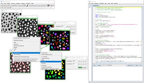 develop groovy scripts for imagej development image sc forum