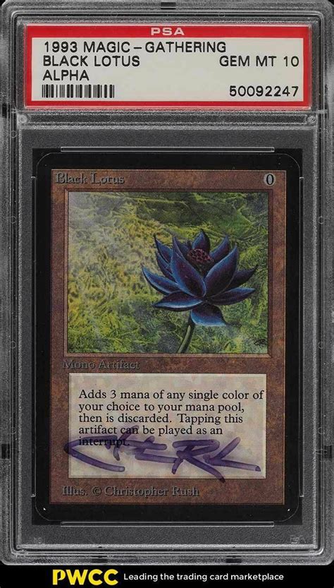 Magic The Gathering Black Lotus Card Sells For 511100 At Auction