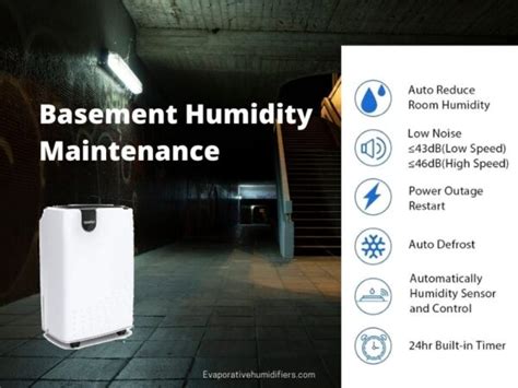 A Homeowners Guide To Basement Humidity Maintenance Tried Tested Tips