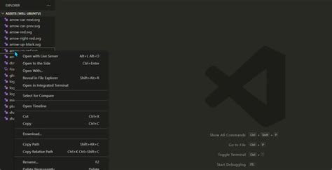 Heres How To Fix Vs Code Editor Opening Svg In Preview Not As Text File M Inam