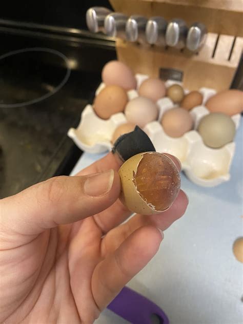 Dried Out Egg Opened R Weirdeggs
