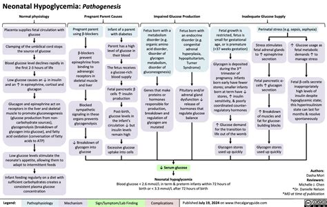 Neonatal Hypoglycemia Pathogenesis Calgary Guide