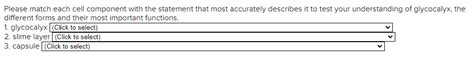 please match each cell component with the statement
