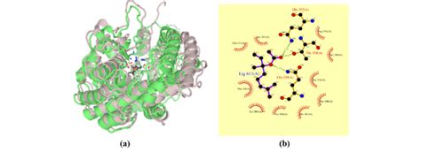 A Binding Of Angiotensin Converting Enzyme With Linalool Acetate B Download Scientific