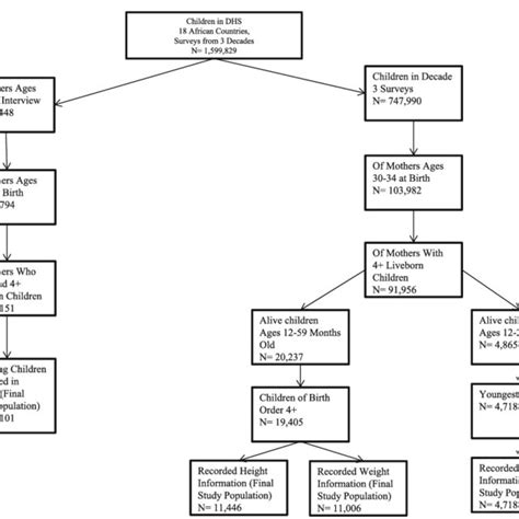 Analytic Sample Definition Download Scientific Diagram