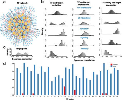 Netact A Computational Platform To Construct Core Transcription Factor Regulatory Networks