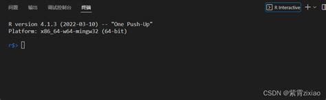 Radian安装问题——permissionerror Winerror 5 Runtimeerror Cannot Determine R Home Csdn博客