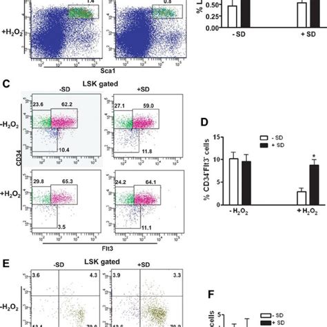 Salidroside Prevents Oxidative Stress Download Scientific Diagram