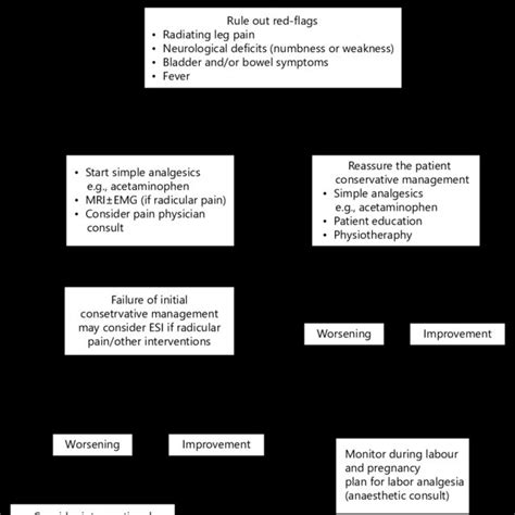 Summary Of Management Strategies Of Lbp In Pregnancy A Multimodal Download Scientific Diagram