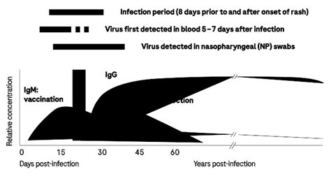 Roche Interactive Testing Algorithm