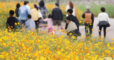 성큼 다가온 가을