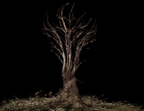 Tree With Roots Png Images Wallpapers Com