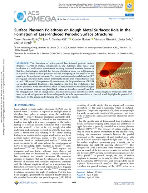 Pdf Surface Plasmon Polaritons On Rough Metal Surfaces Role In The