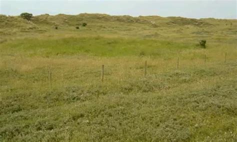 Frazer Biology 4 3 Quadrat Sampling