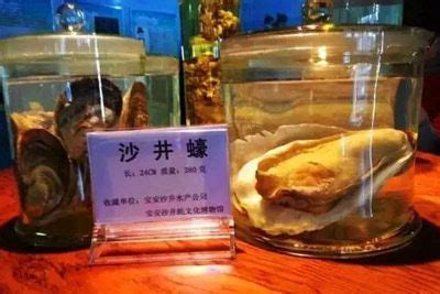 沙井蚝文化博物馆 深圳市宝安区沙井蚝文化博物馆旅游指南
