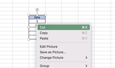 Snip A Range To Clipboard With A Macro Button In Excel For Mac Tecadmin
