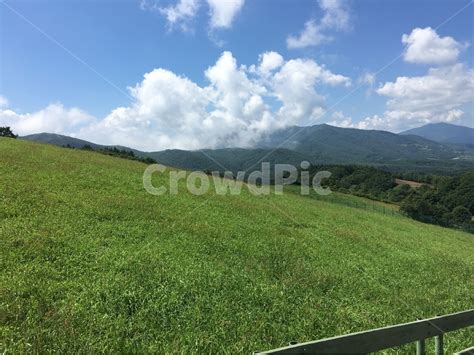 초원 하늘 구름 목장 양 사진이미지일러스트캘리그라피 향기를 그리다작가