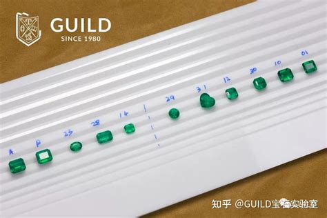 Guild Verdant Green