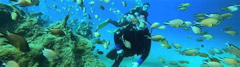 Lanzarote Excursions And Adventure Tickets Excursions Tickets Direct