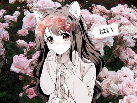 Ты в аниме — Трикки — тесты для девочек