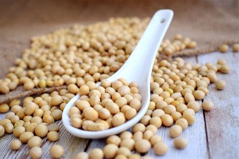 The Truth About Soy Just Vegan Today