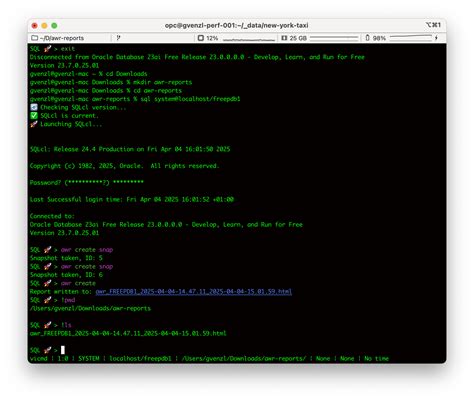 Creating Oracle Database Awr Reports Straight From Sqlcl Gerald On It