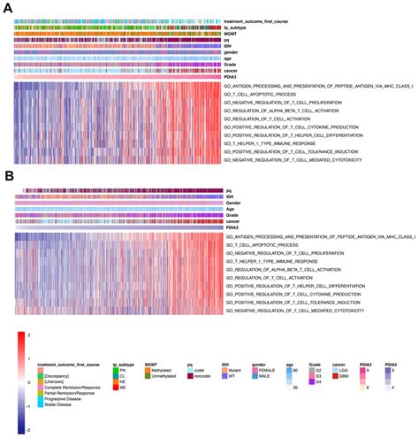 Pdia3 Correlates With Clinical Malignant Features And Immune Signature