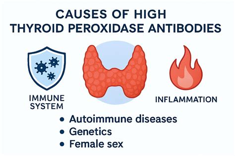 Does High Tpo Antibodies Mean Cancer Dr Ankur Prakash