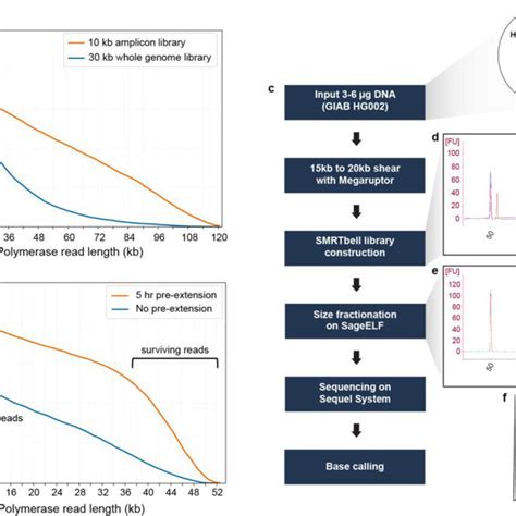 Ccs Protocol Development A Distribution Of Polymerase Read Lengths Download Scientific