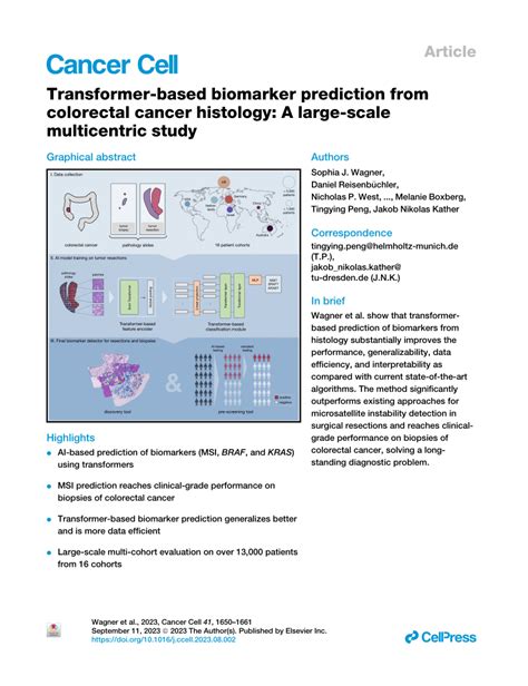 Pdf Transformer Based Biomarker Prediction From Colorectal Cancer Histology A Large Scale