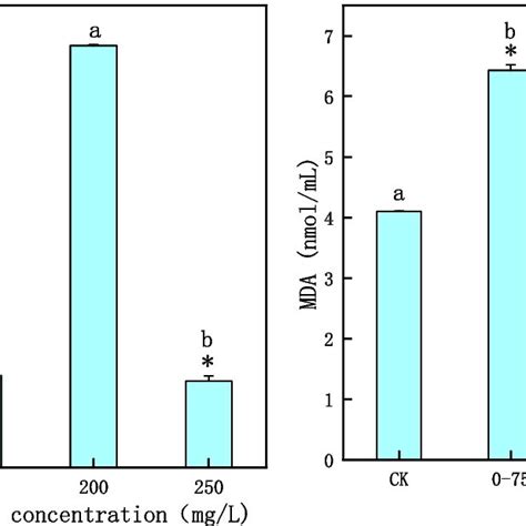 Effects Of Different Concentrations Or Sizes Of Suspended Particulate Download Scientific