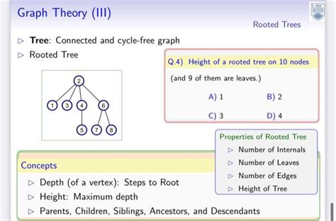 Solved Tree Connected And Cycle Free Graph Rooted Tree Q Chegg
