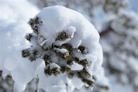 i69l 0602 松 着雪