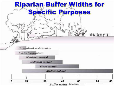 Ppt Introduction To Riparian Buffers Powerpoint Presentation Free