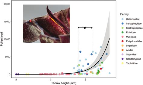 Scatterplot With A Negative Binomial Model Trendline And 95 Confidence