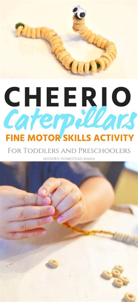 30 Fruit Loop Activities For Preschoolers Ideas Activities Preschool Activities Fruit Loops