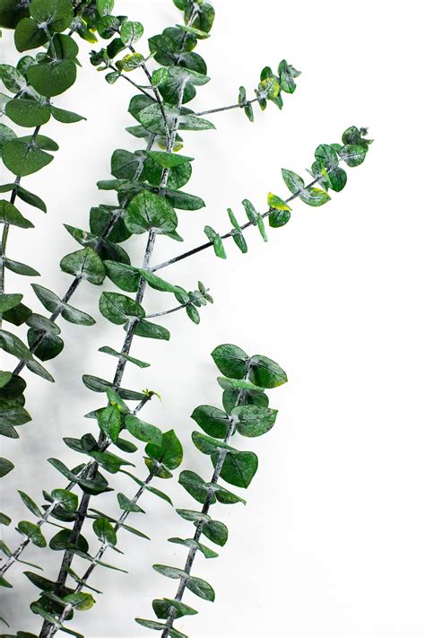 ᐉ Садовое покрытие в Киеве купить в Эпицентр К • Цена в Украине