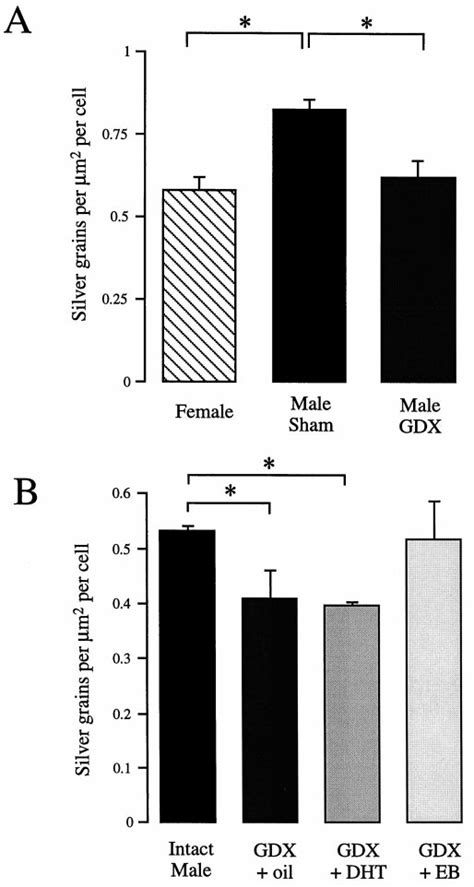 Cellular Som Mrna Levels As Reflected By Mean Silver Grains Per M 2