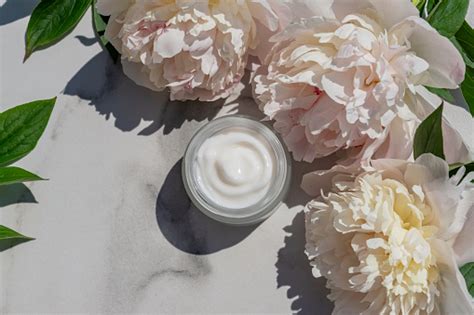대리석 배경에 얼굴 크림과 분홍색 모란 꽃이있는 항아리의 상단보기 텍스트를위한 장소 천연 유기농 화장품 개념 보습제에 대한 스톡 사진 및 기타 이미지 Istock