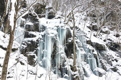 奥入瀬渓流氷瀑ツアーイベント公式青森県観光情報サイト Amazing AOMORI