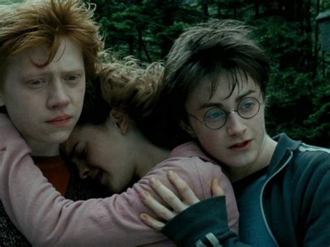 Рон и Гарри - Галерея belpotter.by